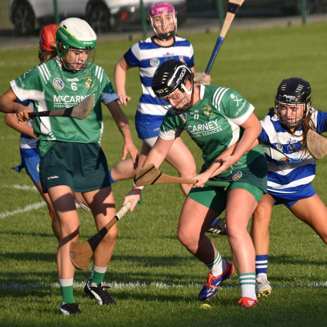 Donaghmore Ashbourne Annual Draw